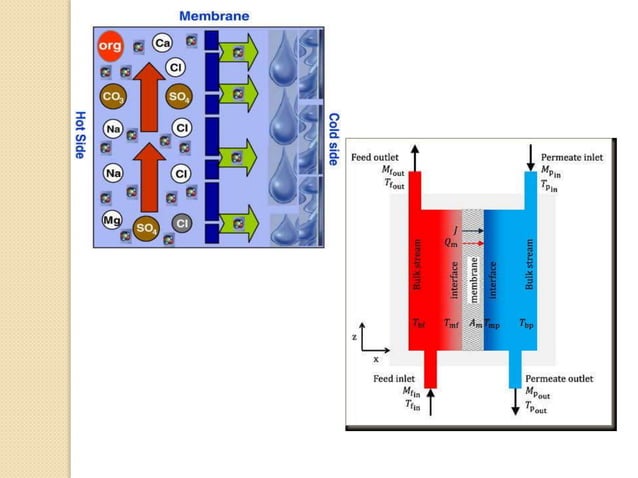 Membrane Separation techniques | PPTX