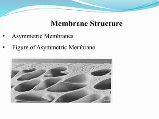 membrane reactor for gas separation | PPT