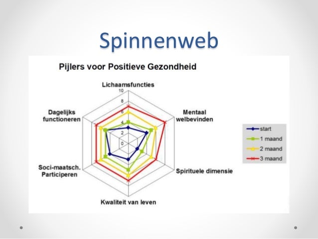 Spinnenweb Voor Positieve Gezondheid