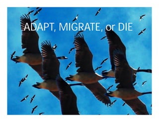 TalentWeek™ Presentation - Eric D. Hieger | PPT