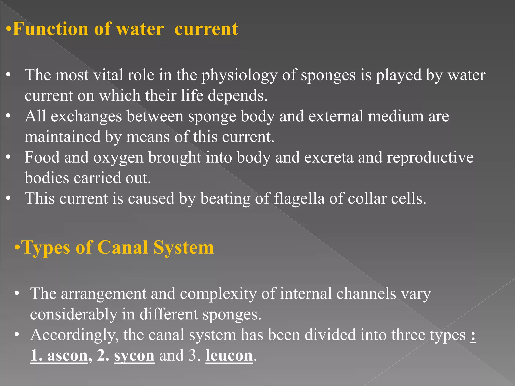 canal system | PPTX