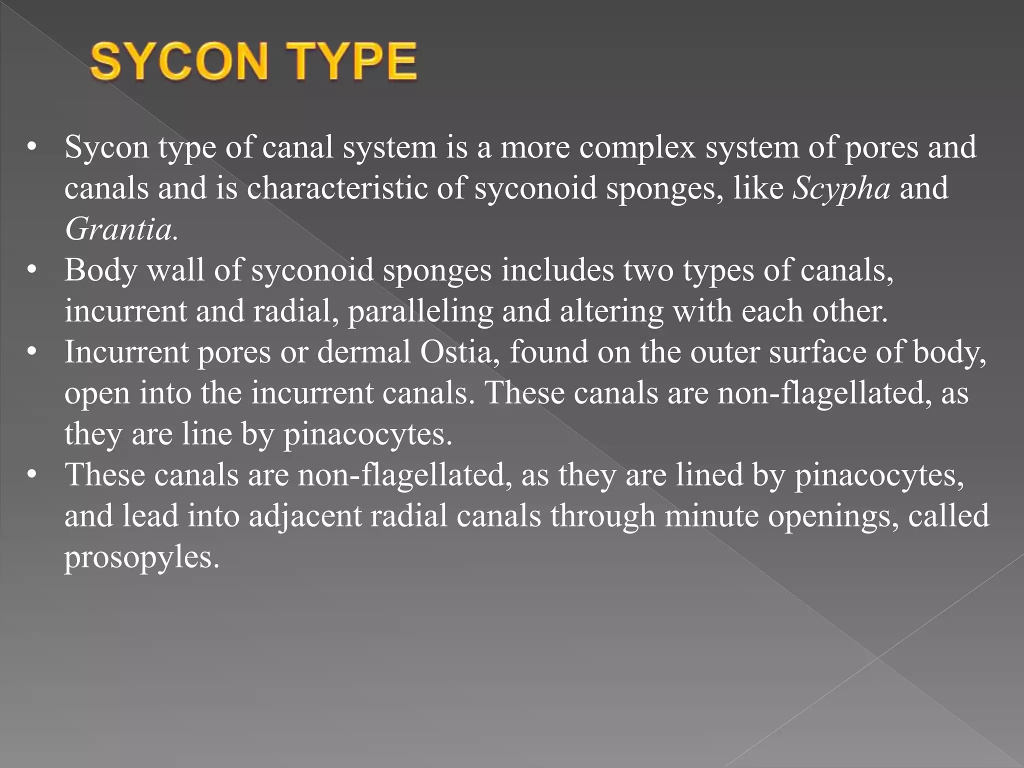 canal system | PPTX