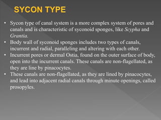 canal system | PPTX