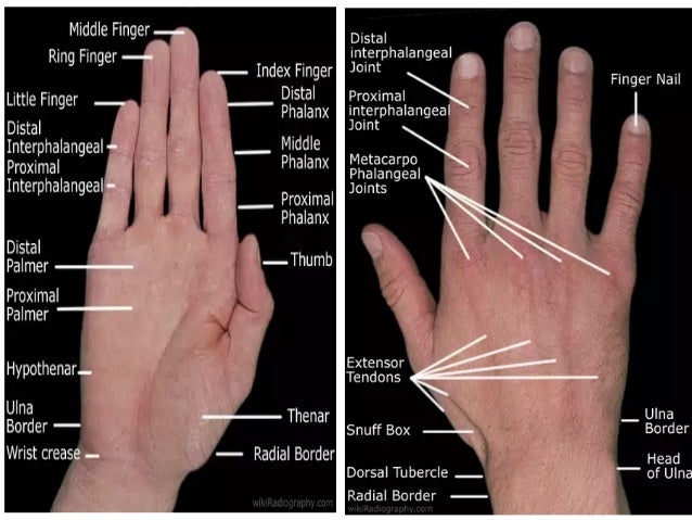 Emergency Radiology: Shoulder & Upper Extremities
