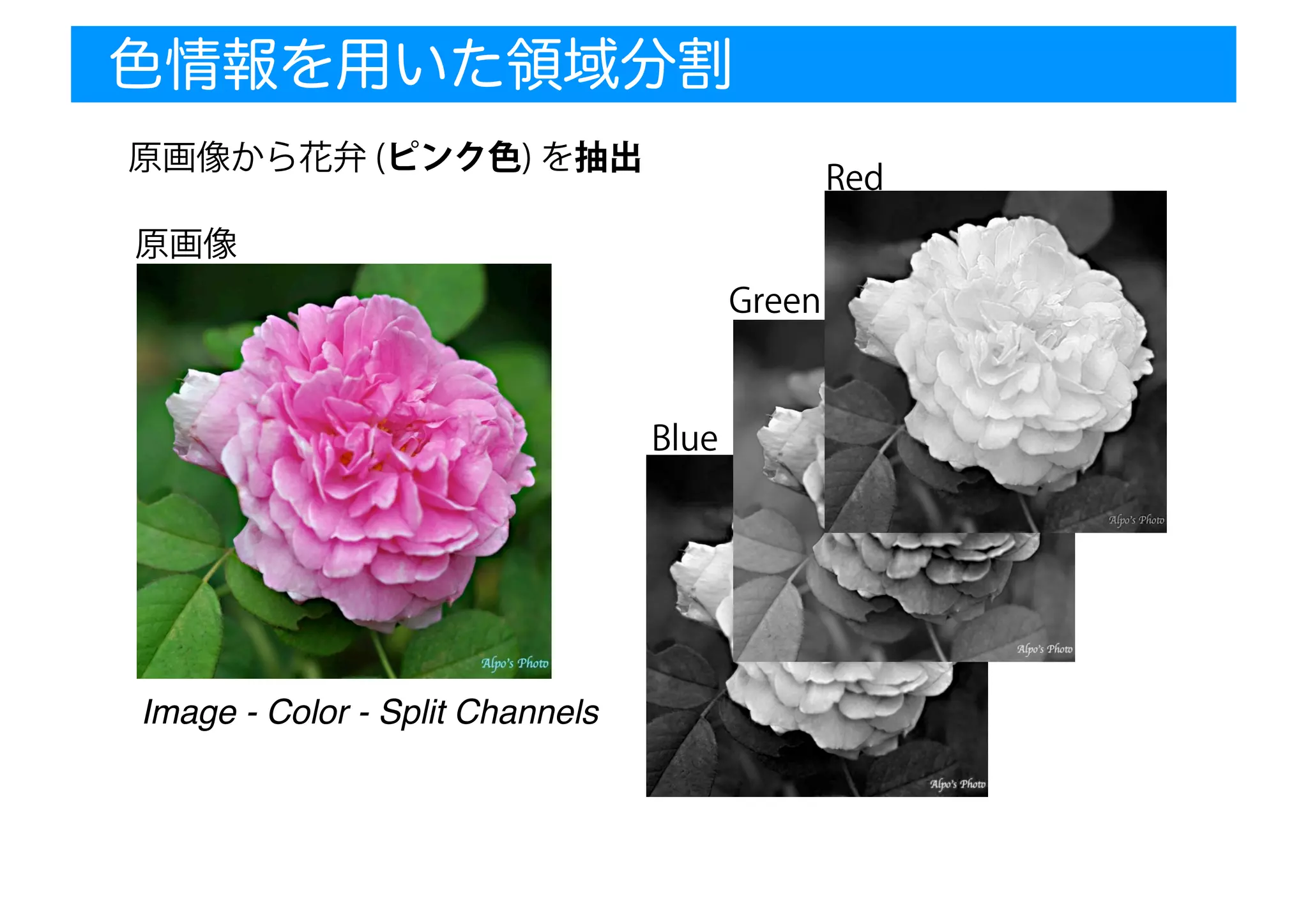 ImageJを使った画像解析実習-色の解析- | PDF