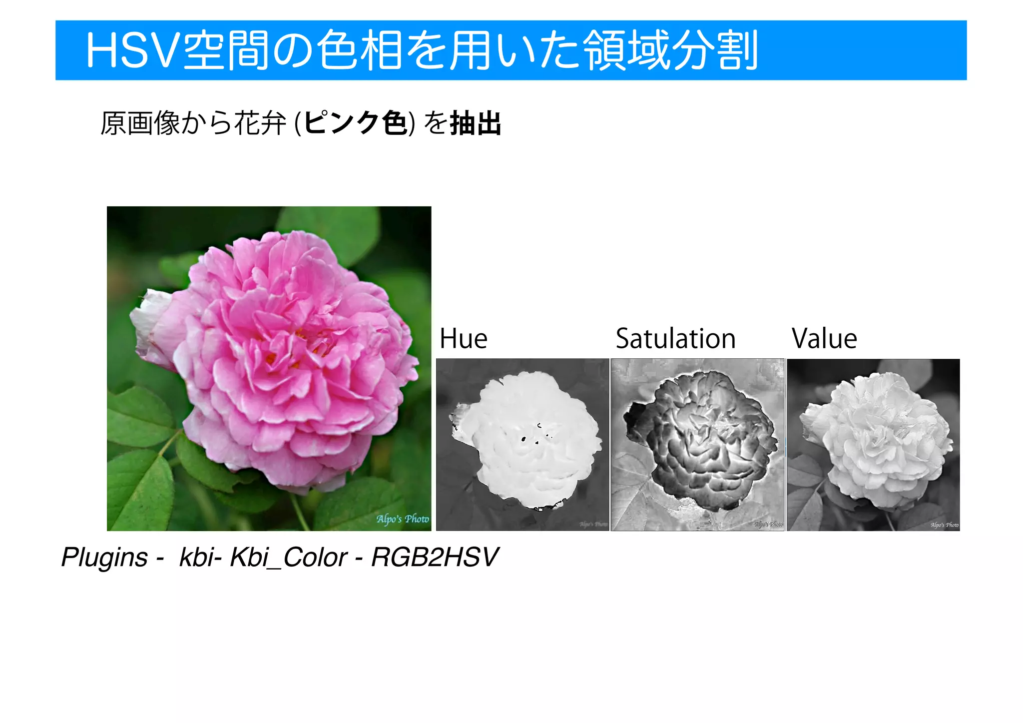 ImageJを使った画像解析実習-色の解析- | PDF