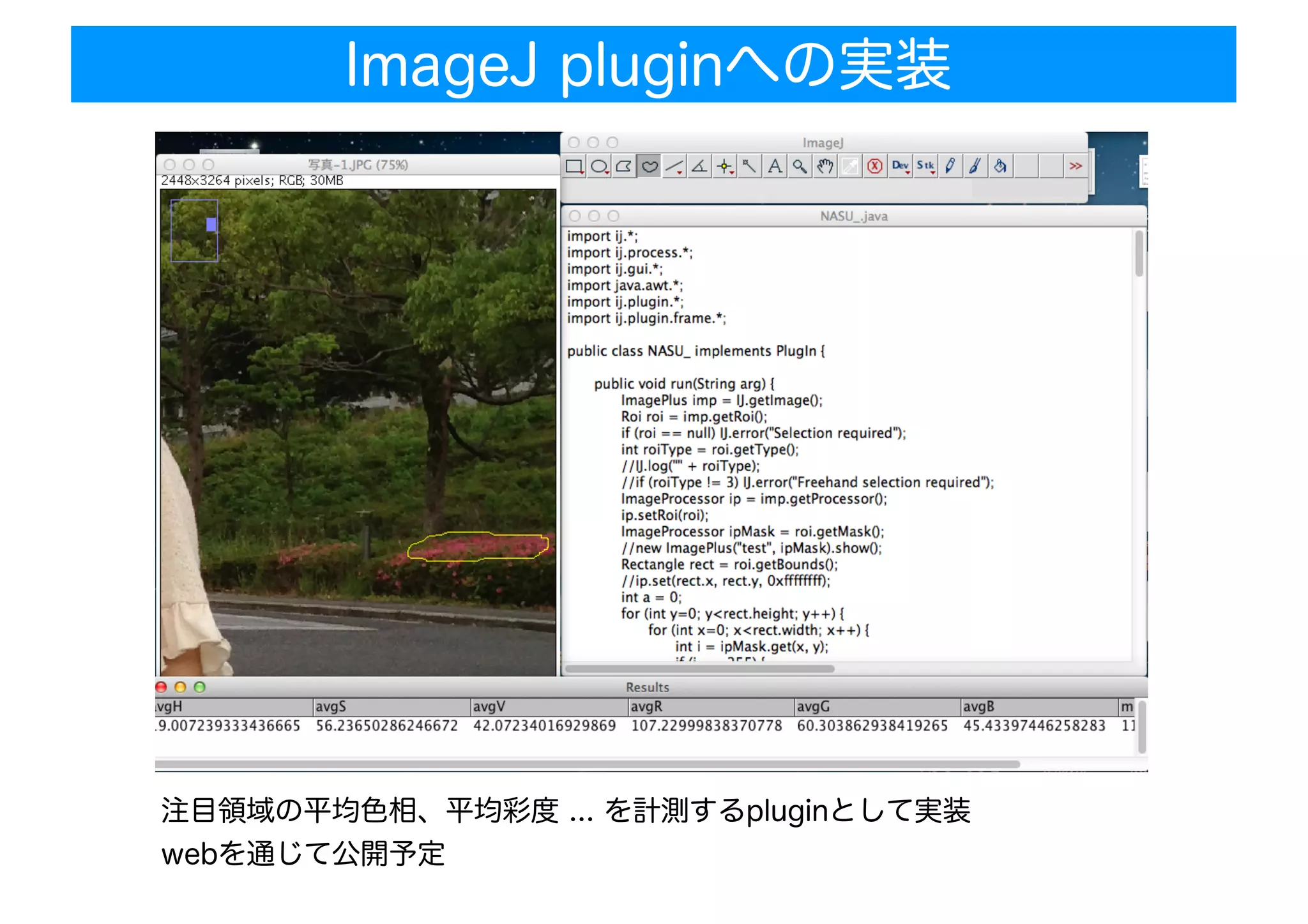 ImageJを使った画像解析実習-色の解析- | PDF