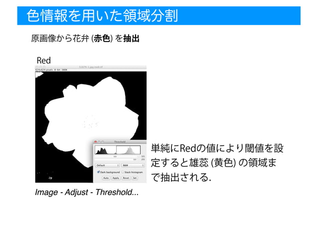 ImageJを使った画像解析実習-色の解析- | PDF | Photo Editing Software | Computer Software and Applications
