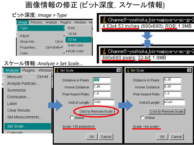 ImageJを使った画像解析実習〜起動・終了とファイルの入出力〜 | PDF | Photo Editing Software | Computer Software and Applications