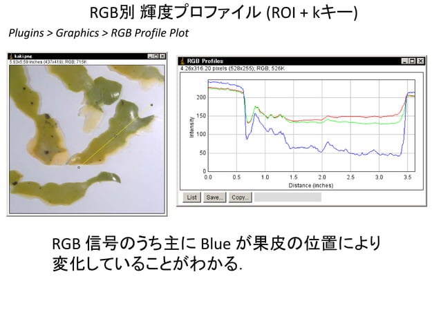 ImageJを使った画像解析実習〜起動・終了とファイルの入出力〜 | PDF | Photo Editing Software ...
