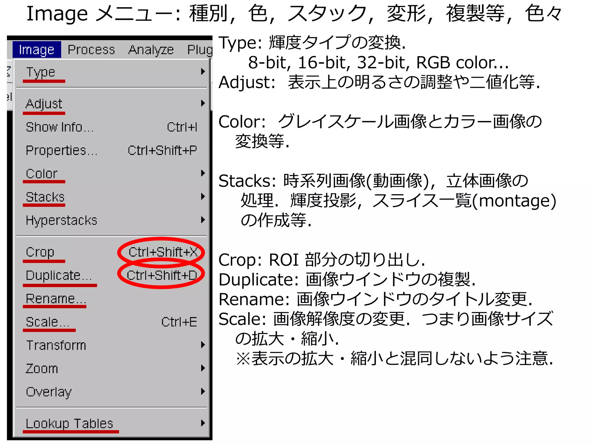 ImageJを使った画像解析実習〜2値化・領域抽出〜 | PDF