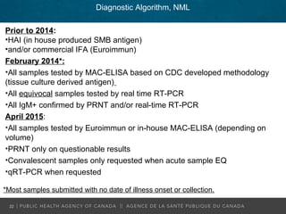 Actualización sobre la producción de reactivos y pruebas comerciales ...