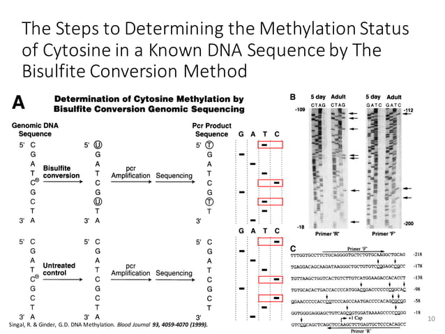 DNA Methylation Data Analysis | PDF | Chemistry | Science