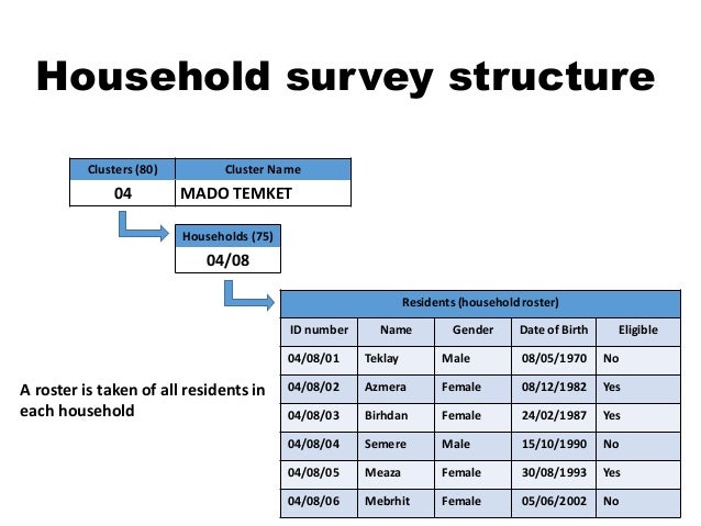 Electronic data collection for a modular household survey in Ethiopia
