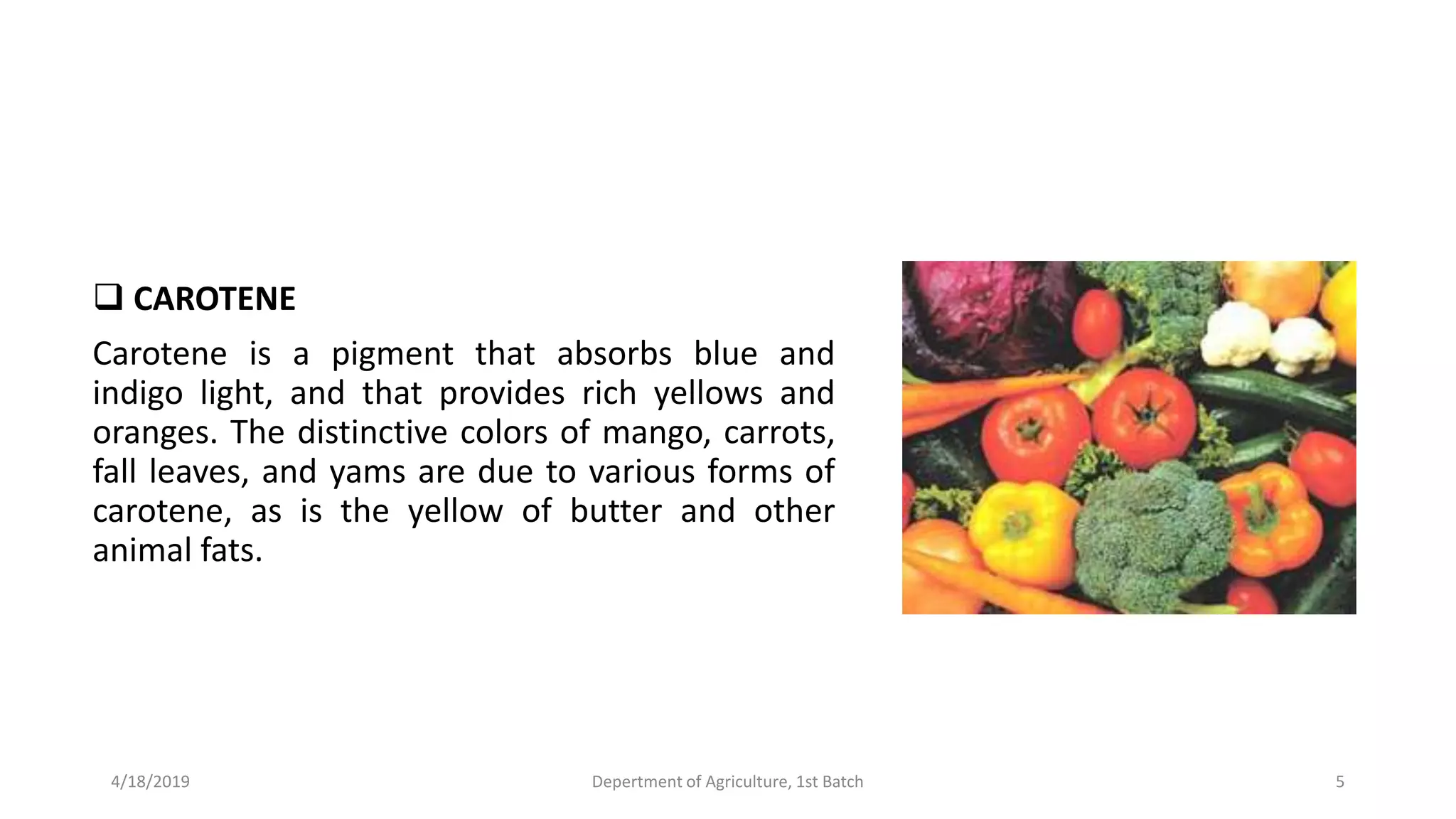 Plant pigment by Nayan Howlader | PPTX