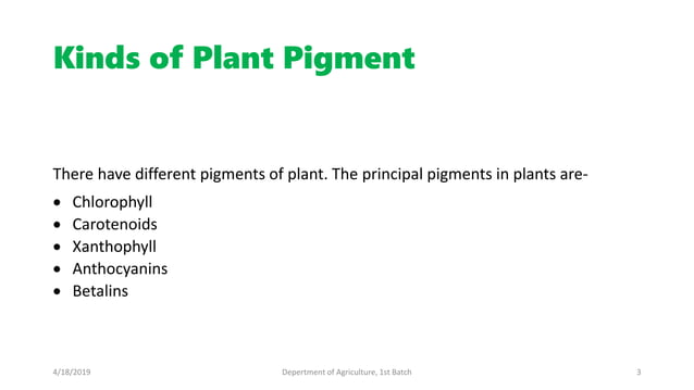Plant pigment by Nayan Howlader | PPTX | Gardening | Home & Garden