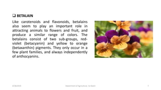 Plant pigment by Nayan Howlader | PPTX