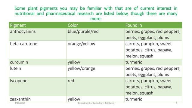 Plant pigment by Nayan Howlader | PPTX | Gardening | Home & Garden