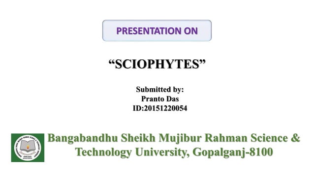 Sciophytes | PPTX | Gardening | Home & Garden