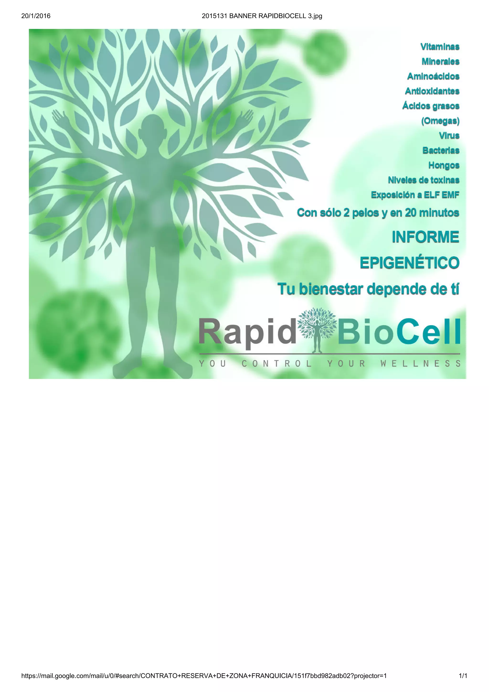 2015131 banner rapidbiocell 3 | PDF
