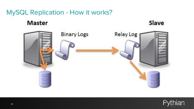 My First 100 days with a MySQL DBMS
