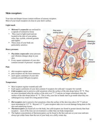 2015 a&p integumentary handout | PDF | Skin and Dermatology | Diseases ...