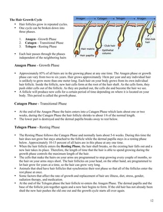 2015 a&p integumentary handout | PDF
