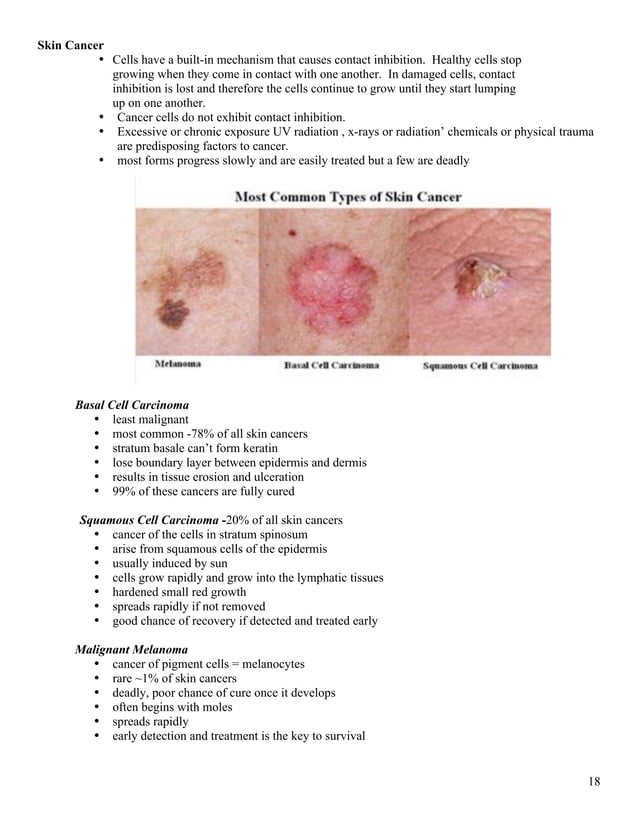2015 a&p integumentary handout | PDF | Skin and Dermatology | Diseases ...