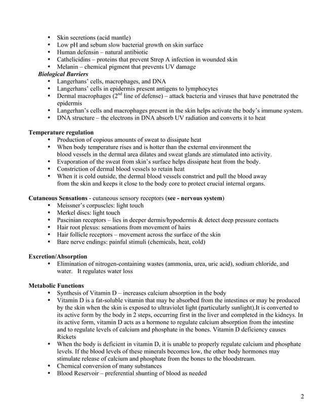2015 a&p integumentary handout | PDF | Skin and Dermatology | Diseases ...