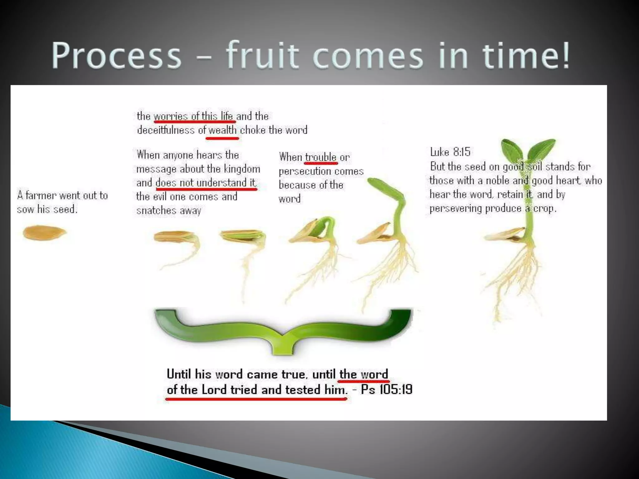 Parable of the Sower | PPTX