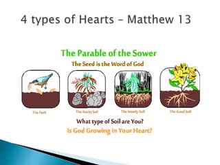 Parable of the Sower | PPTX