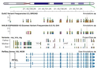 2015 bio it visualizing genomic variants and annotations is vital for accurate interpretation | PPT