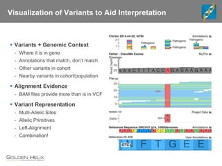 2015 bio it visualizing genomic variants and annotations is vital for accurate interpretation | PPT