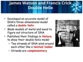 DNA replication of eukaryotes and prokaryotes | PPTX