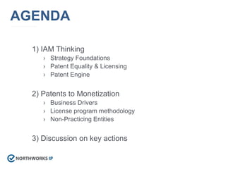 IP Strategy and Licencing | PPTX | Business | Business and Finance