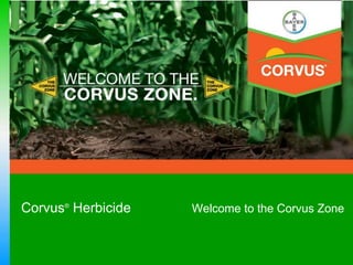 2015 Corvus® Brand Presentation | PPT