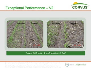 2015 Corvus® Brand Presentation | PPT