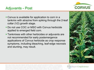 2015 Corvus® Brand Presentation | PPT