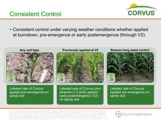 2015 Corvus® Brand Presentation | PPT