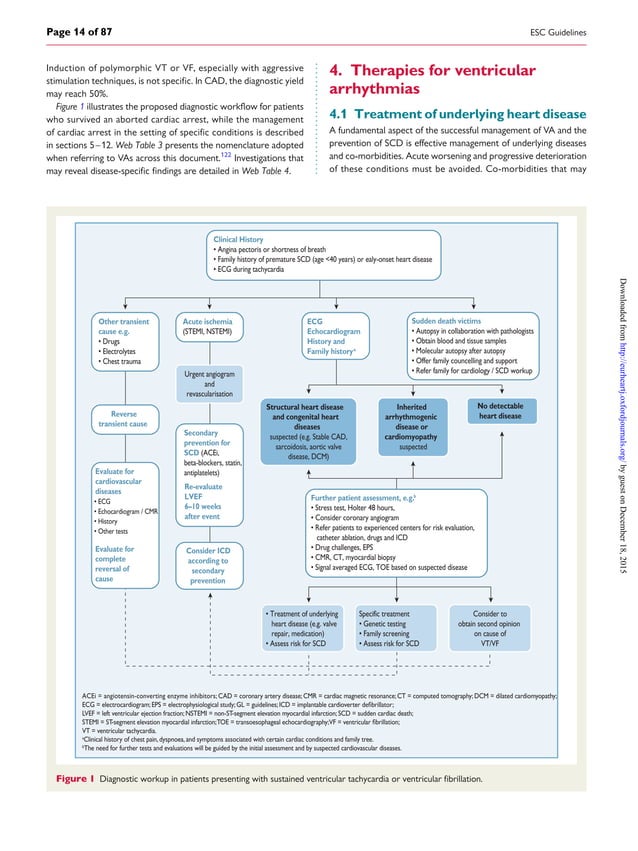 2015 ESC guidelines for the management of patients with ventricular ...