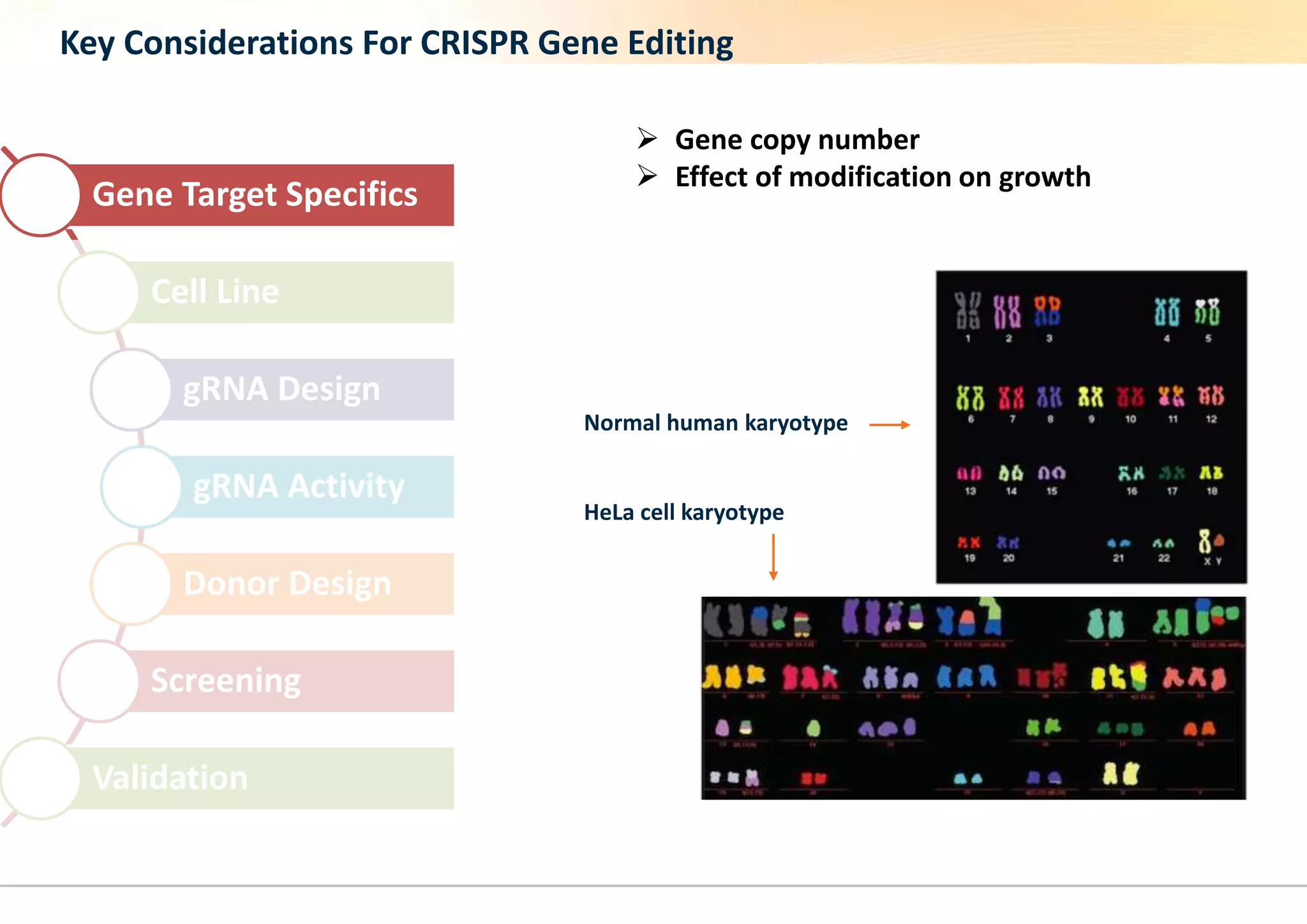 Genome Editing Comes of Age; CRISPR, rAAV and the new landscape of molecular cell biology | PPSX