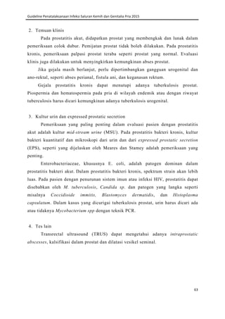 [2015] Guideline Penatalaksanaan Infeksi Saluran Kemih dan Genitalia ...