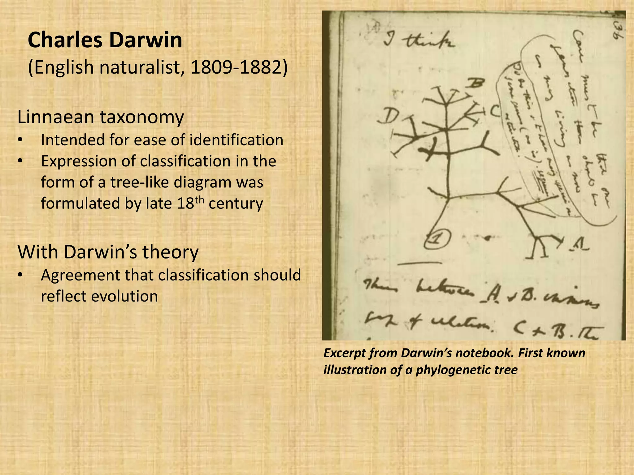 The History and Future of Taxonomy | PDF