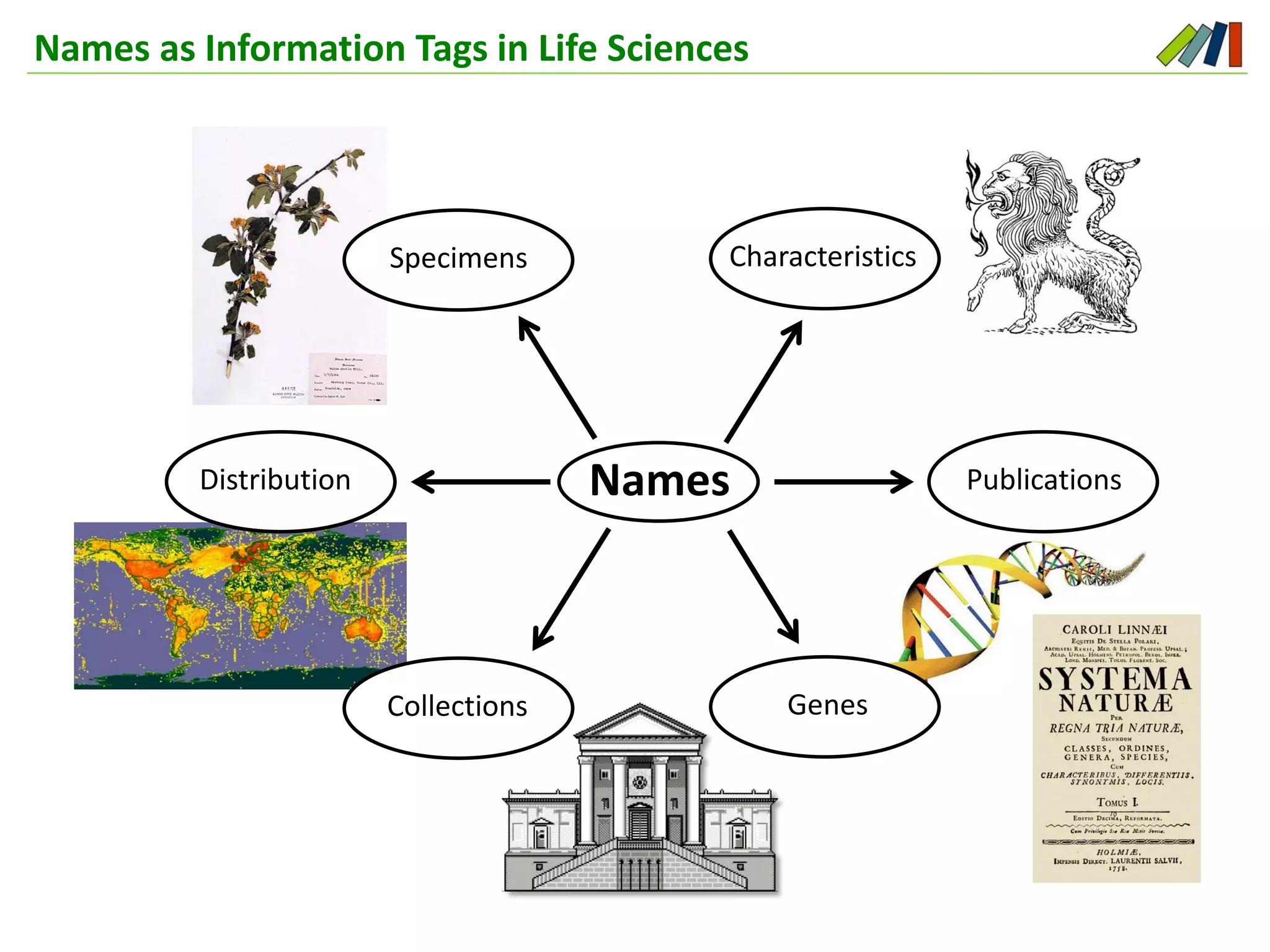 The History and Future of Taxonomy | PDF