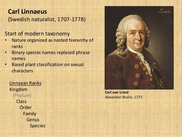 The History and Future of Taxonomy