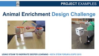 Using STEAM to Inspire Deeper Learning | PDF
