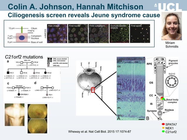 Ciliopathy Alliance - Research Update | PPT