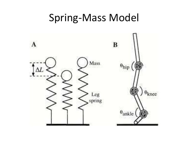The Integrated Spring-Mass Model Approach to Treating Thoracic Outlet…