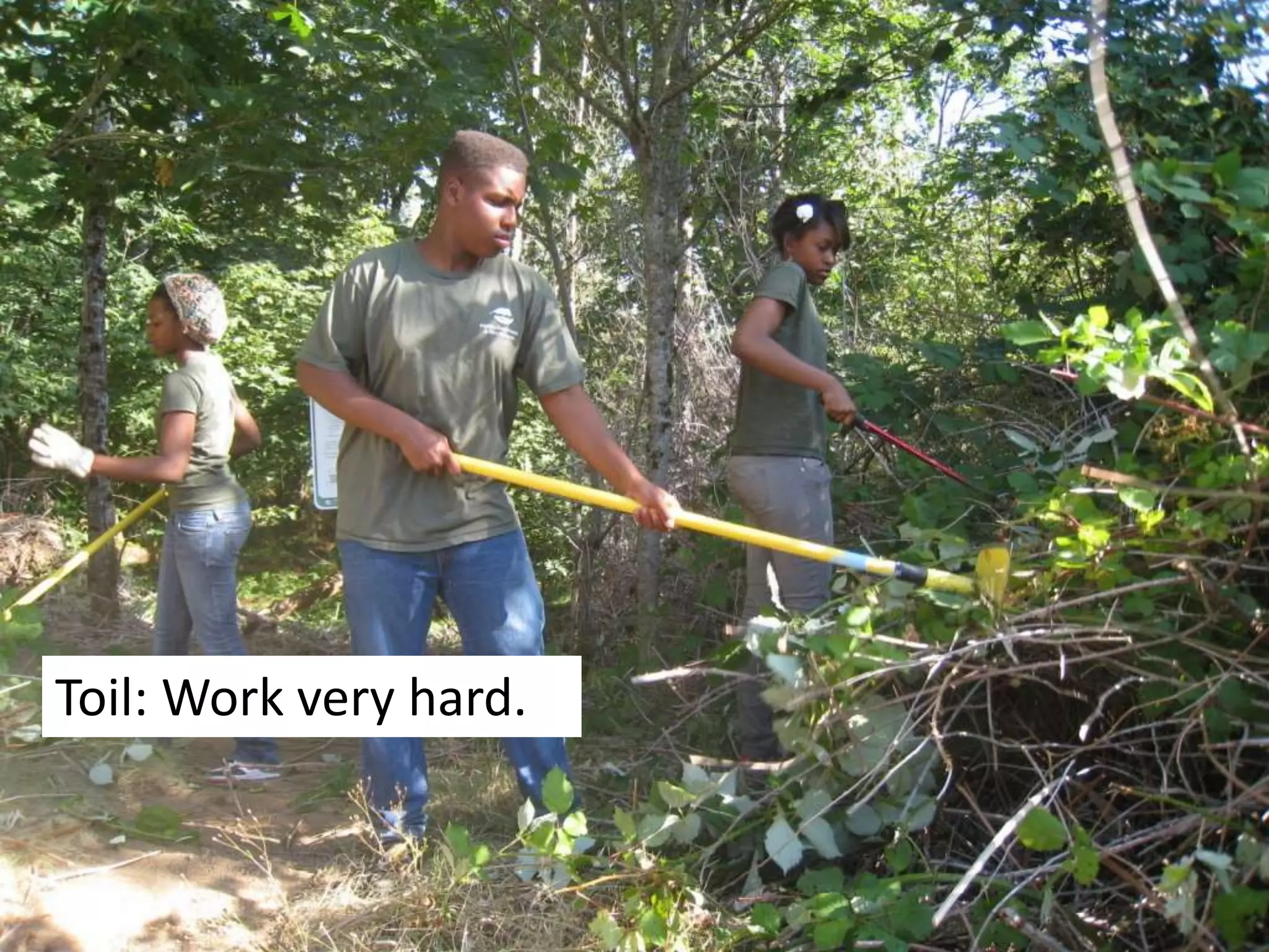 2015 unit 1 week 1 gr 2 | PPT | Free Download