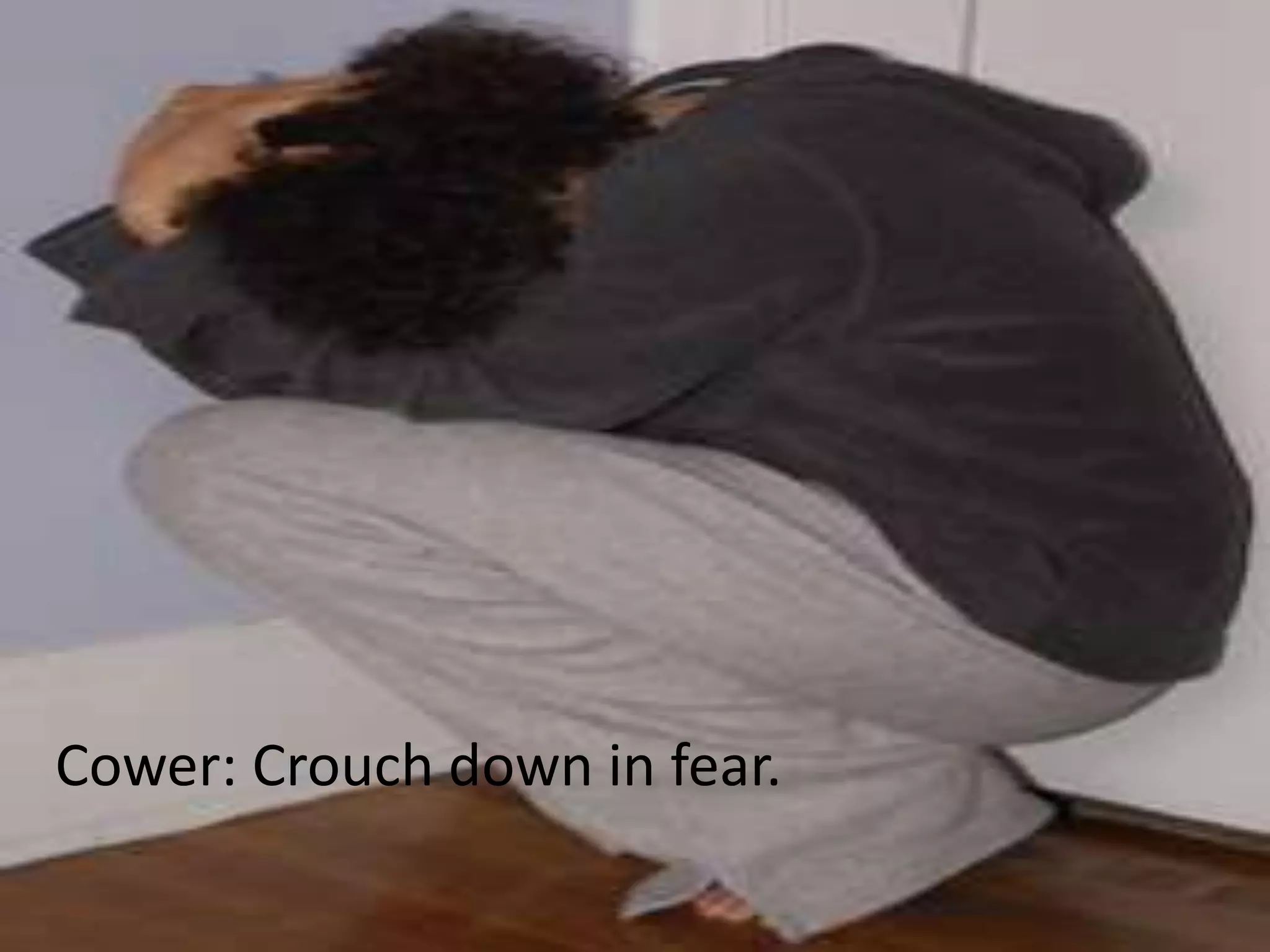 2015 unit 1 week 1 gr 2 | PPT | Free Download